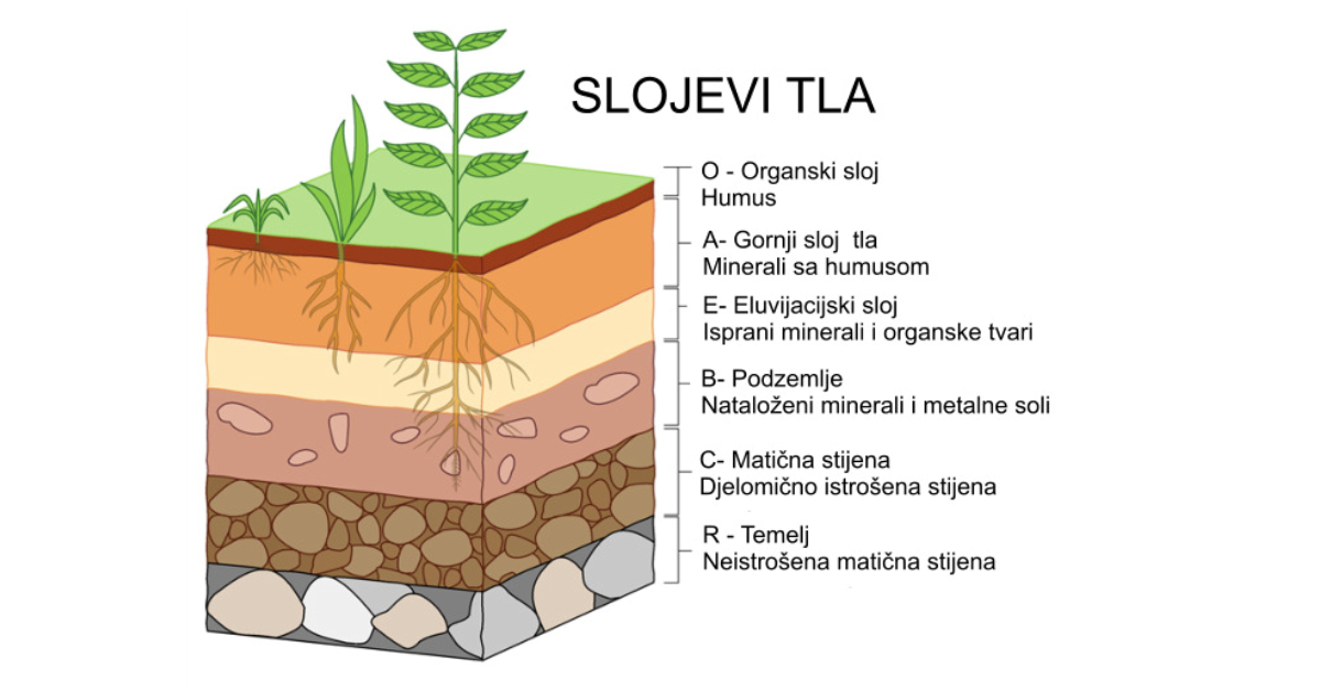 Što organska tvar nudi biljkama i tlu? – Eko trade